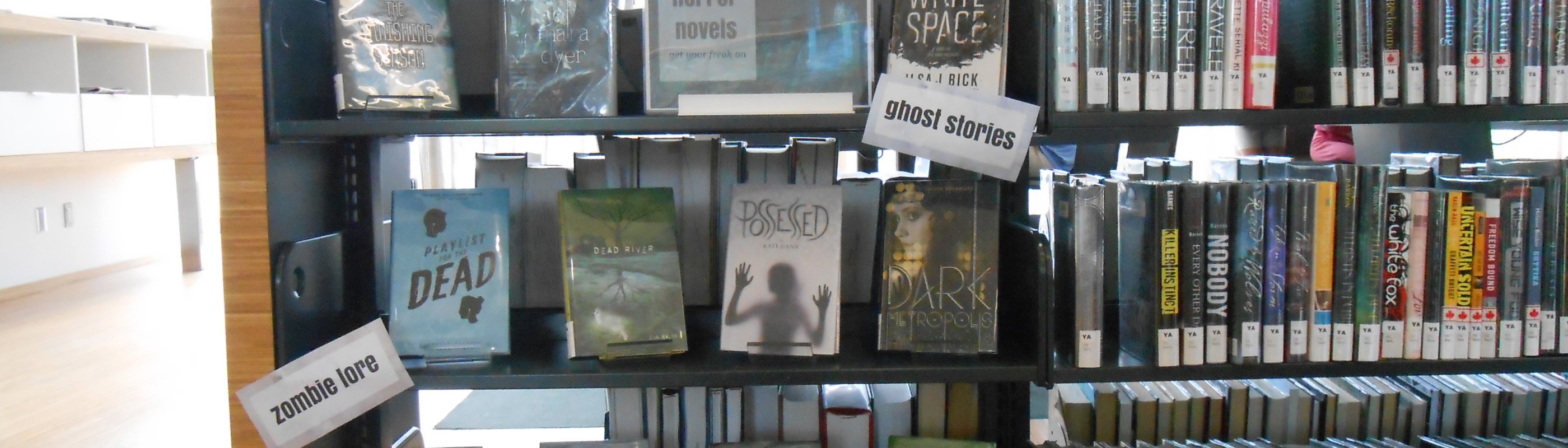 YA Horror Display: Get Your Freak On – Ontarian Librarian
