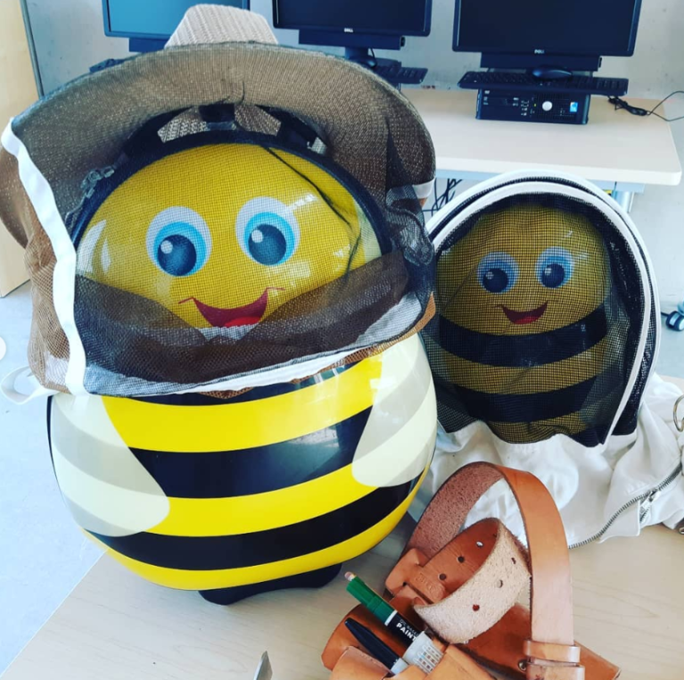 Un-BEE-Lievable Science: A bee themed lesson plan for grades 3 – 6 ...