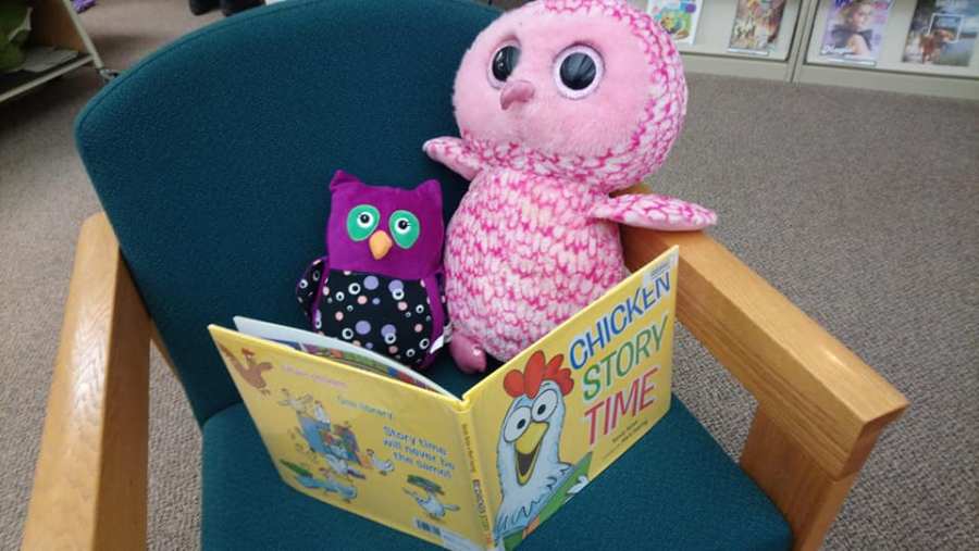 Stuffie Sleepover Storytime Tips – Ontarian Librarian