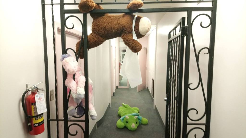 Stuffie Sleepover Storytime Tips – Ontarian Librarian