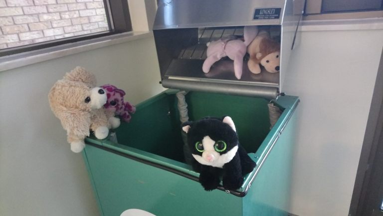 Stuffie Sleepover Storytime Tips – Ontarian Librarian