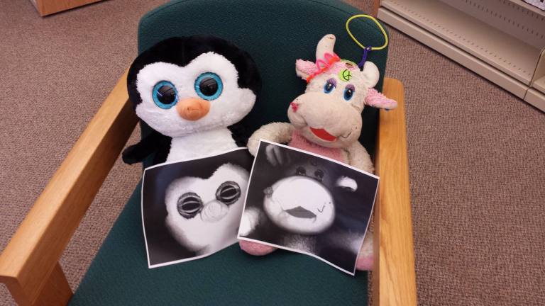 Stuffie Sleepover Storytime Tips – Ontarian Librarian