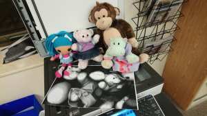 Stuffie Sleepover Storytime Tips – Ontarian Librarian