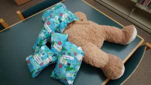 Stuffie Sleepover Storytime Tips – Ontarian Librarian